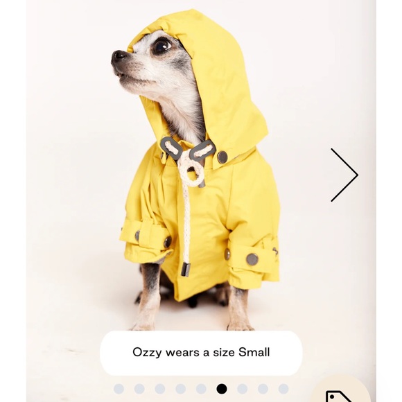 Max Bone | Dog | Max Bone Talon Raincoat Medium Yellow New With Tags ...